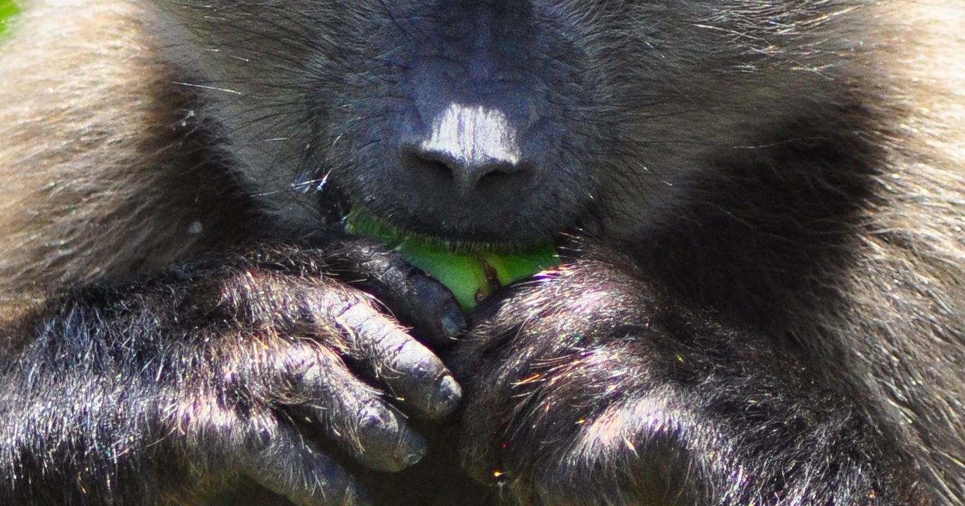 Our Standard Operational Procedure – Green Group Simonstown